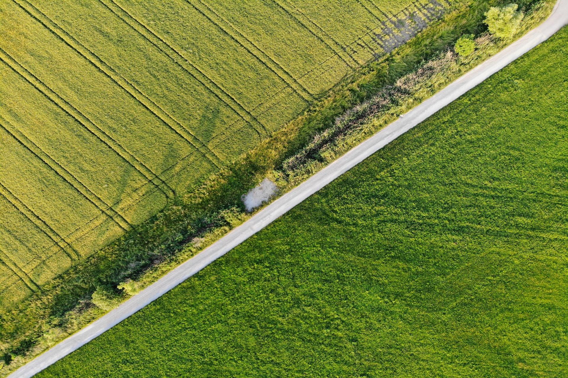 What Do You Need To Start A Successful Farm Business I Host Photos What Do You Need To Start A Successful Farm Business I Host Photos